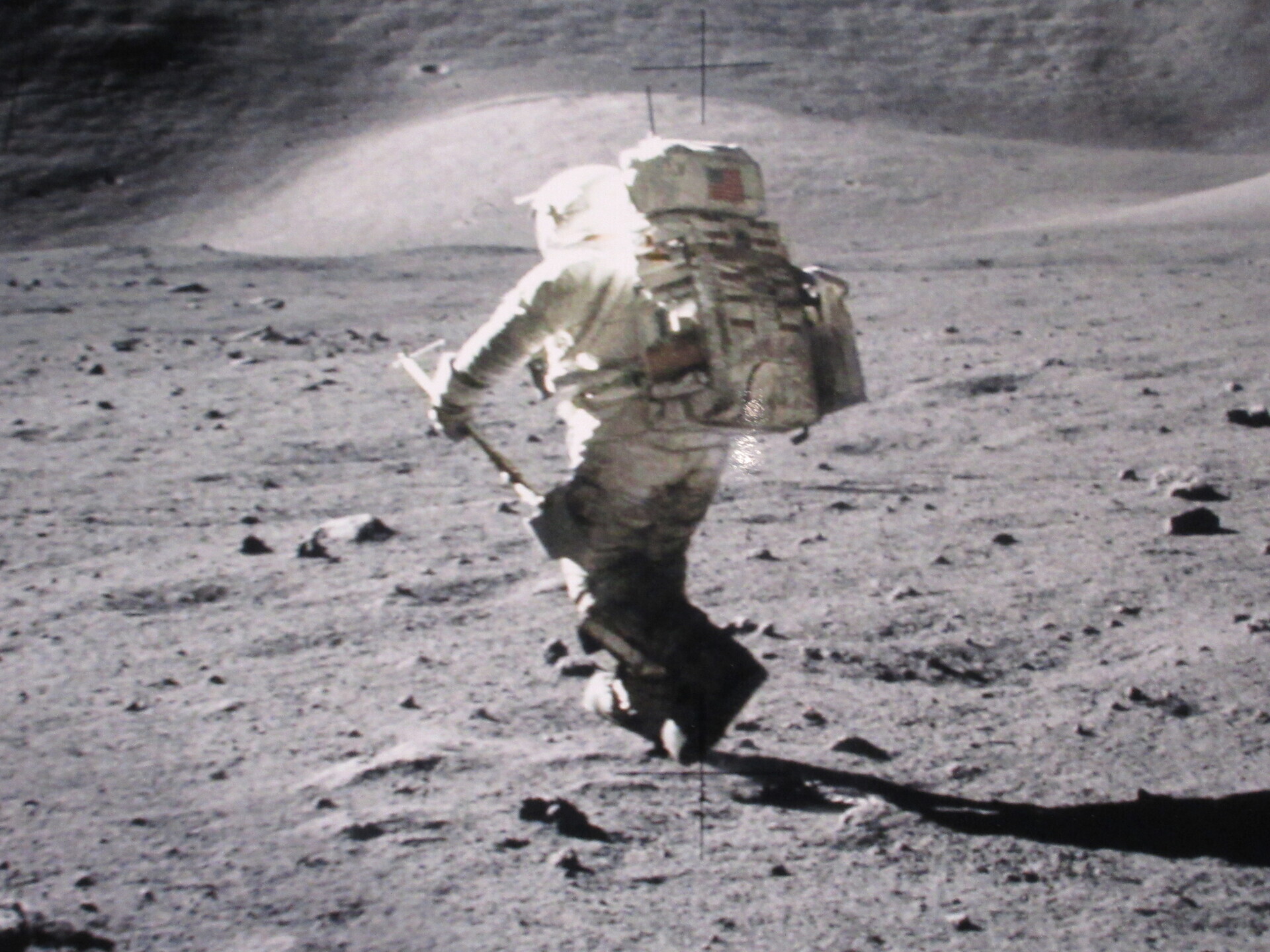 岡崎中央総合公園をお散歩。。: のんのんじいの徒然日記